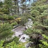 Mount Success via Appalachian Trail, New Hampshire - 391 Reviews, Map ...