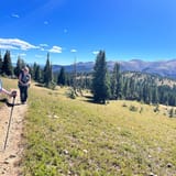 Colorado Trail: Segment 6, Colorado - 206 Reviews, Map | AllTrails