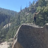 Cheesman Canyon, Colorado - 2,060 Reviews, Map | AllTrails