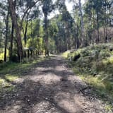 Maroondah Dam Explorer Trail, Victoria, Australia - 74 Reviews, Map ...