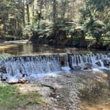 Maroondah Dam Explorer Trail, Victoria, Australia - 74 Reviews, Map ...