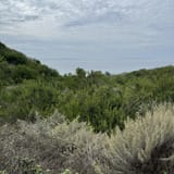 Forrestal Preserve Loop, California - 1,283 Reviews, Map | AllTrails