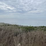 Forrestal Preserve Loop, California - 1,283 Reviews, Map | AllTrails