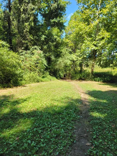 Best Hikes and Trails in Carl Alwin Schenck Memorial Forest | AllTrails