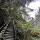 Granite Falls (Fish Ladder) Trail, Washington - 632 Reviews, Map ...