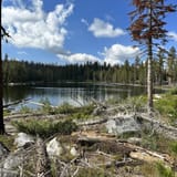 White Wolf to Pate Valley Trail, California - 29 Reviews, Map | AllTrails