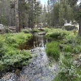 White Wolf to Pate Valley Trail, California - 29 Reviews, Map | AllTrails