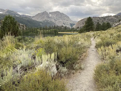 10 Best Trails and Hikes in June Lake | AllTrails