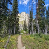 Marion Lake Trail, Wyoming - 145 Reviews, Map | AllTrails