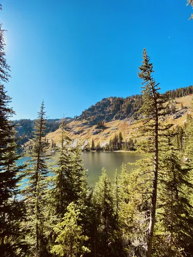 2023 Best Forest Trails in Saltese | AllTrails