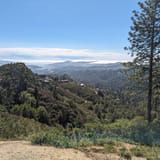 Verna Dunshee Trail and Plank Trail at Mount Tam East Peak, California ...