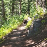 Phelps Lake, Lake Creek, and Woodland Loop, Wyoming - 2,798 Reviews ...