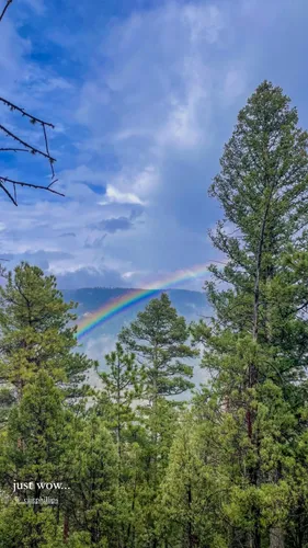 Best Hikes and Trails in Reynolds Ranch County Park | AllTrails