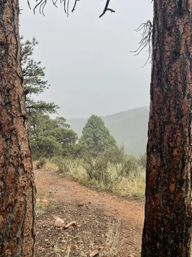 Best Hikes and Trails in Reynolds Ranch County Park | AllTrails