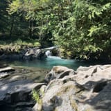 Kalama Falls Trail, Washington - 516 Reviews, Map | AllTrails