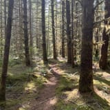 Kalama Falls Trail, Washington - 516 Reviews, Map | AllTrails
