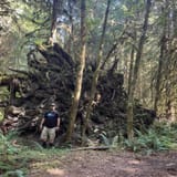 Kalama Falls Trail, Washington - 516 Reviews, Map | AllTrails