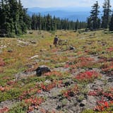 Glade Trail, Oregon - 330 Reviews, Map | AllTrails