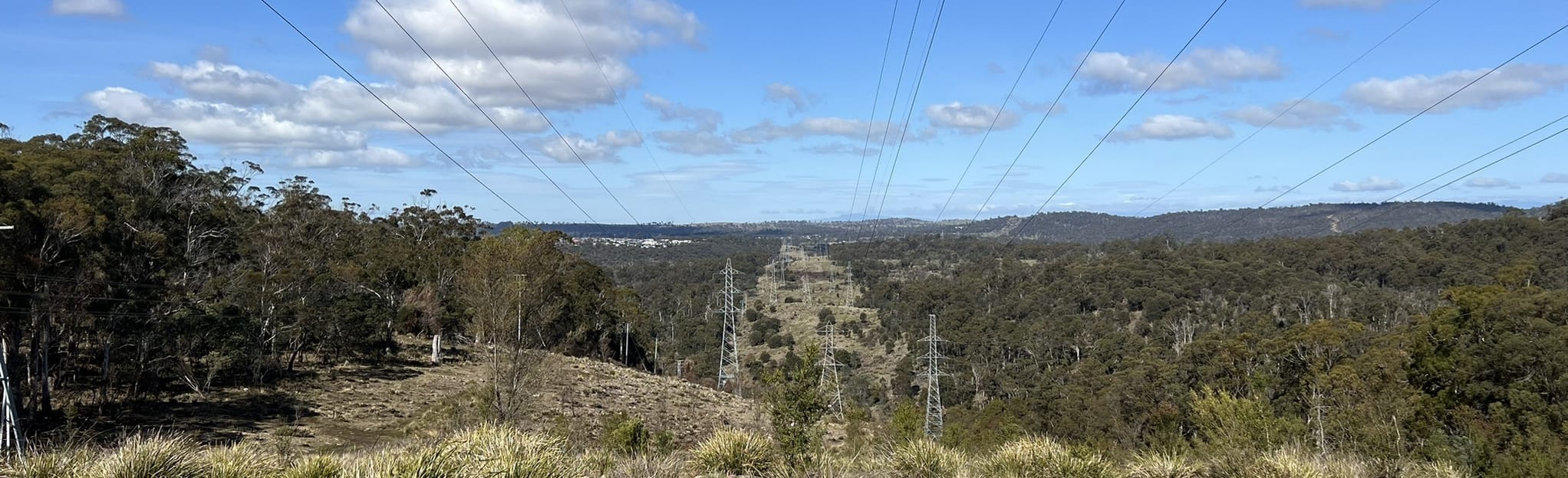Powerline Track, Tasmania, Australia - 9 Reviews, Map | AllTrails