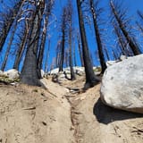 Ralston Peak, California - 1,465 Reviews, Map | AllTrails