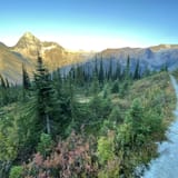 Abbott Ridge Trail, British Columbia, Canada - 593 Reviews, Map | AllTrails
