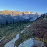 Abbott Ridge Trail, British Columbia, Canada - 593 Reviews, Map | AllTrails