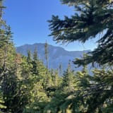 Abbott Ridge Trail, British Columbia, Canada - 593 Reviews, Map | AllTrails