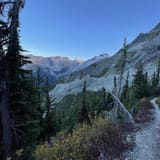 Abbott Ridge Trail, British Columbia, Canada - 593 Reviews, Map | AllTrails