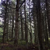 Slaughter Ridge Trail, Alaska - 825 Reviews, Map | AllTrails