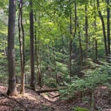 Hardin Ridge Hike/Bike Beach Trail, Indiana - 65 Reviews, Map | AllTrails