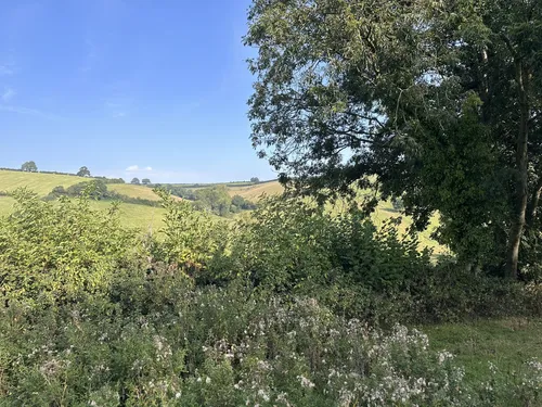 Best Lake Trails in Quantock Hills National Landscape (AONB) | AllTrails