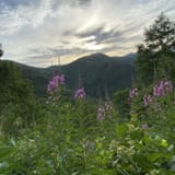 Scout Falls via Mount Timpanogos Trail, Utah - 2,155 Reviews, Map ...