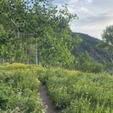 Scout Falls via Mount Timpanogos Trail, Utah - 2,155 Reviews, Map ...