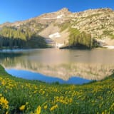 Scout Falls via Mount Timpanogos Trail, Utah - 2,155 Reviews, Map ...