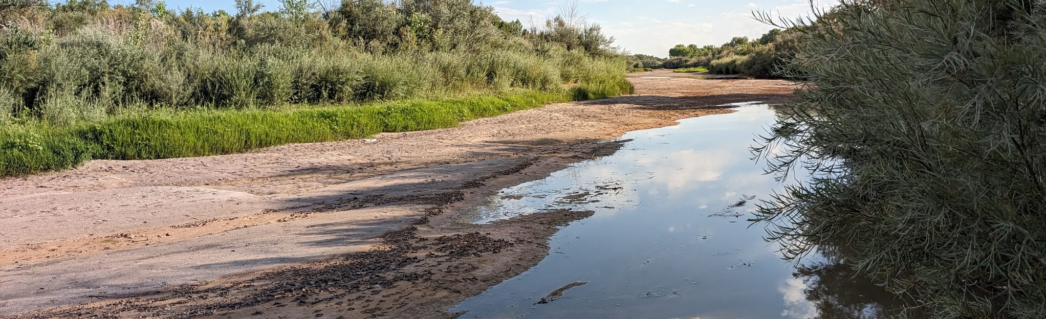 Canopy Trail: Long Loop: 242 fotos - Novo México | AllTrails