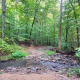 Battle Branch Trail, North Carolina - 359 Reviews, Map | AllTrails