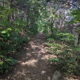 Meat Cove Overlook, Nova Scotia, Canada - 305 Reviews, Map | AllTrails