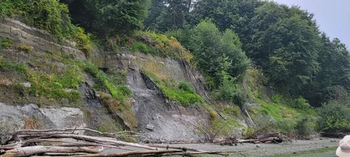 Best Hikes and Trails in Point No Point Lighthouse and Park | AllTrails