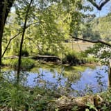 Blue Spring Trail, Missouri - 194 Reviews, Map | AllTrails