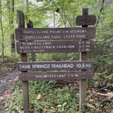 Devil's Racetrack Trail, Tennessee - 570 Reviews, Map | AllTrails