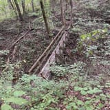 Devil's Racetrack Trail, Tennessee - 570 Reviews, Map | AllTrails