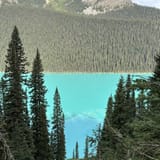 Fairview Lookout Loop, Alberta, Canada - 455 Reviews, Map | AllTrails