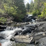 Cedar Falls Trail, Washington - 309 Reviews, Map | AllTrails