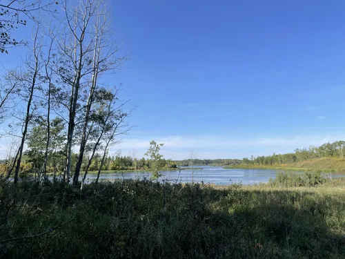 10 Best Horseback Riding Trails in Cooking Lake/Blackfoot Provincial ...