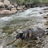 Gilpin Lake Trail, Colorado - 496 Reviews, Map | AllTrails