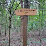 Bell Mountain Loop Trail, Missouri - 619 Reviews, Map | AllTrails