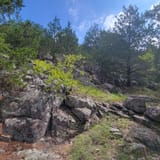 Bell Mountain Loop Trail, Missouri - 682 Reviews, Map | AllTrails