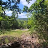 Bell Mountain Loop Trail, Missouri - 682 Reviews, Map | AllTrails