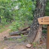 Bell Mountain Loop Trail, Missouri - 682 Reviews, Map | AllTrails