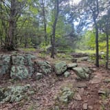 Bell Mountain Loop Trail, Missouri - 682 Reviews, Map | AllTrails